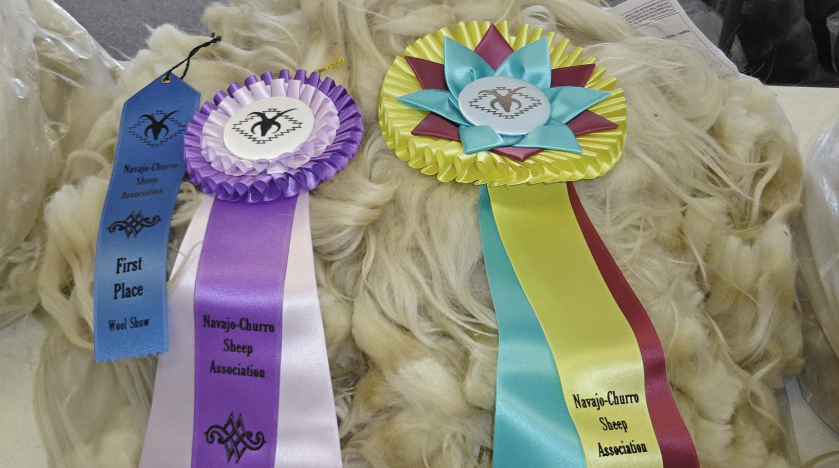 Navajo-Churro Raw Wool Fleece – Arriola Sunshine Farm Store