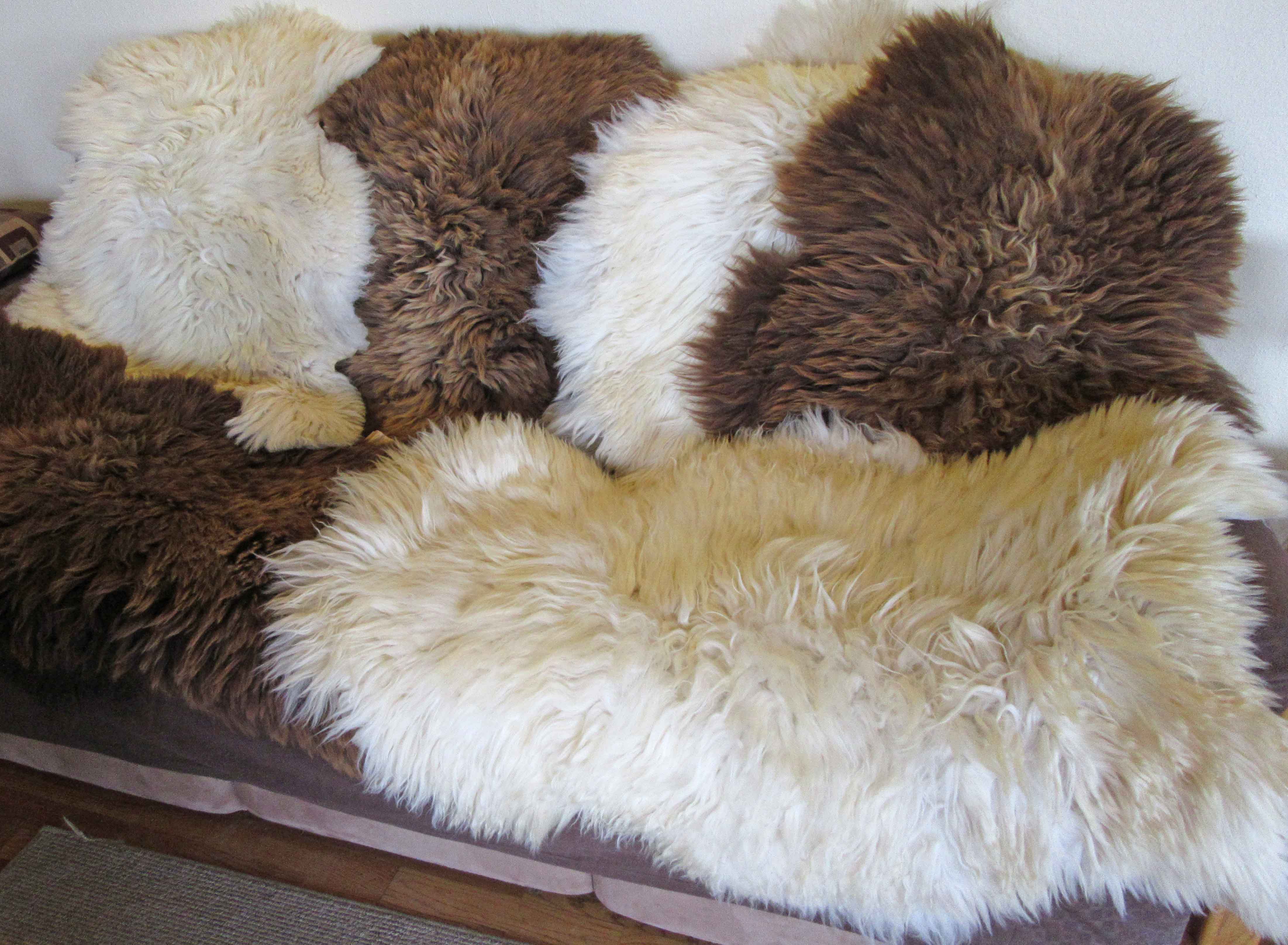 Navajo-Churro Sheepskin Pelts – Arriola Sunshine Farm Store
